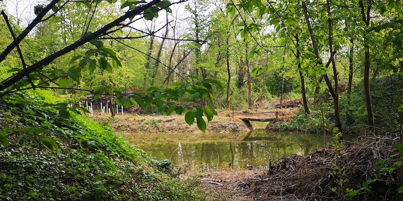Parco Adda Nord: il festival del Ben-Essere con 4 eventi - Merateonline