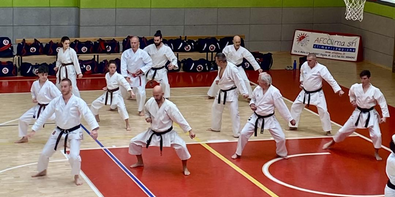 Bushi Karate-Do: più di 100 atleti allo stage formativo - Merateonline