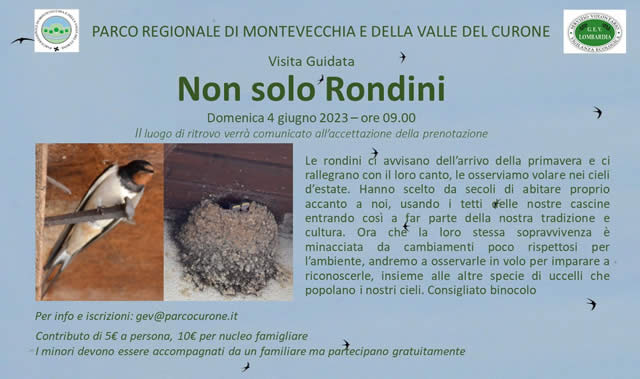 Parco Curone: con le GEV alla scoperta del volo delle rondini ...